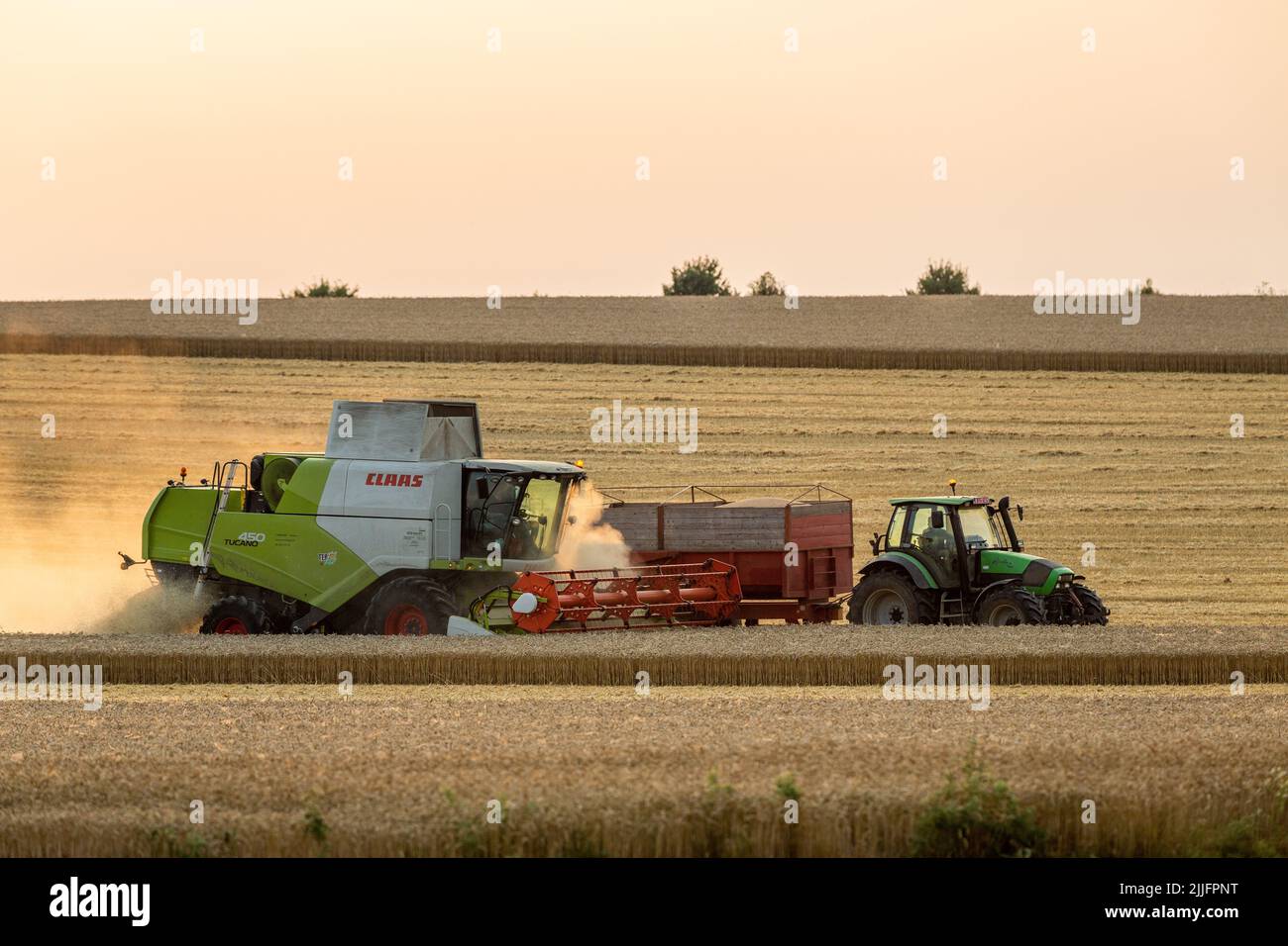 Wheat harvest in progress using combine harvesters. Setting sun ...
