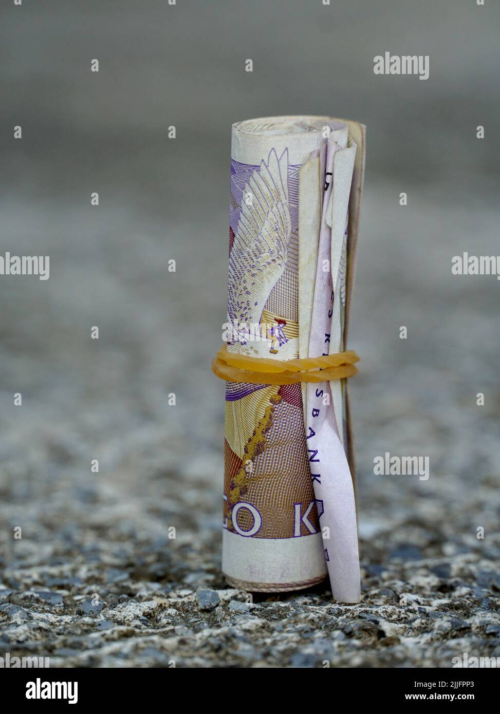 Swedish krona, the currency of Sweden.money concept.Tied with rubber ...