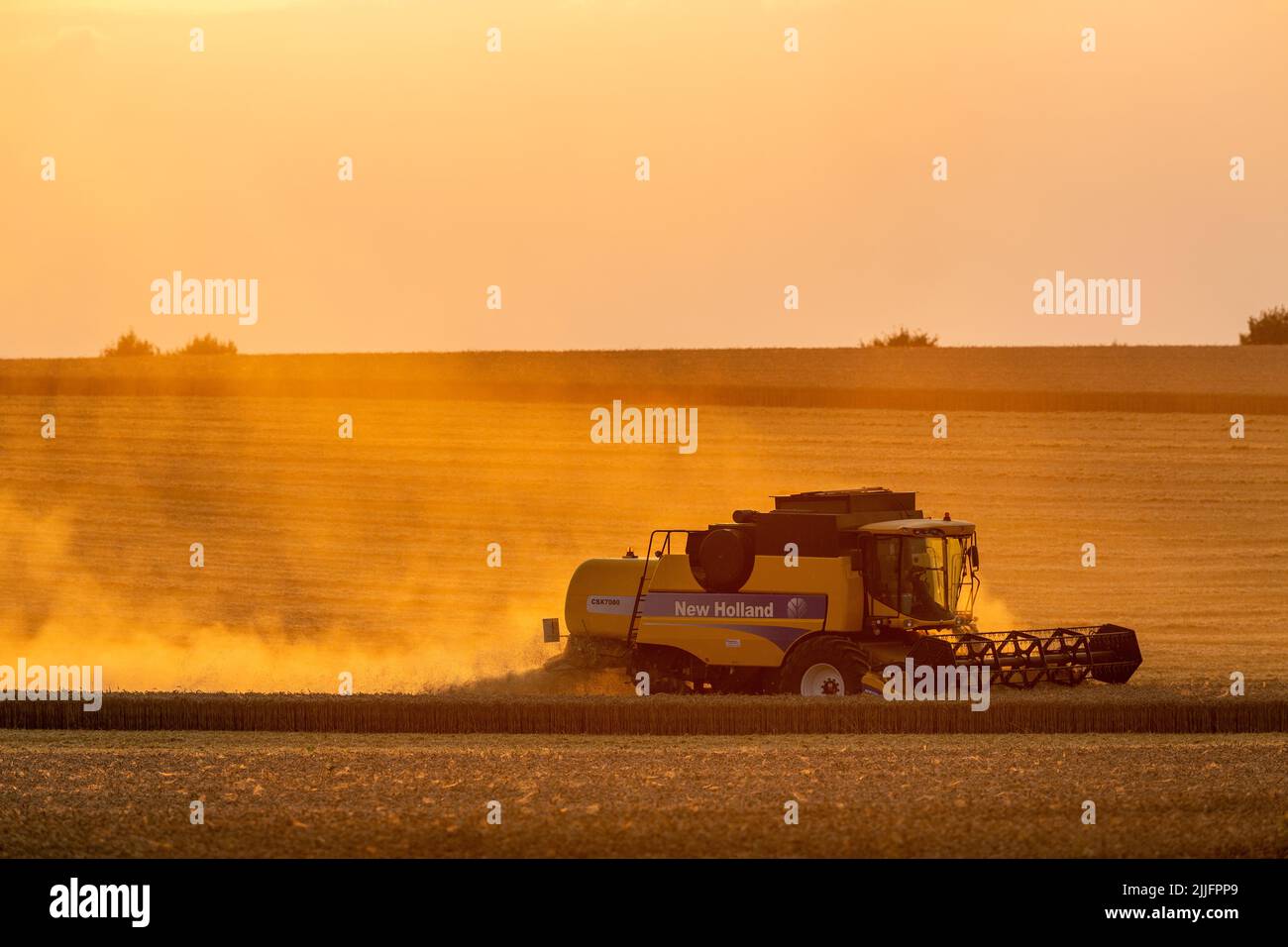 Wheat harvest in progress using combine harvesters. Setting sun ...