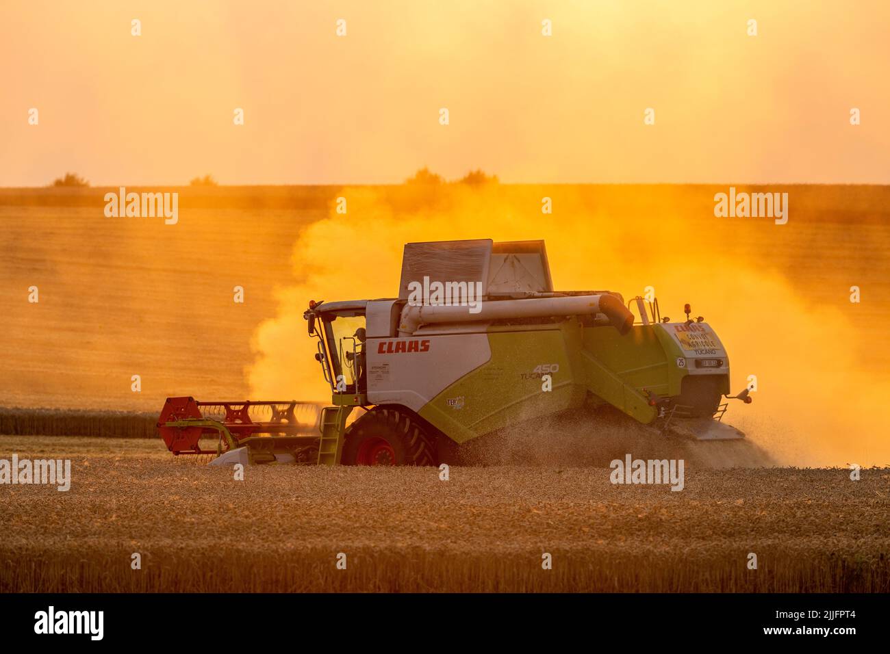 Wheat harvest in progress using combine harvesters. Setting sun ...