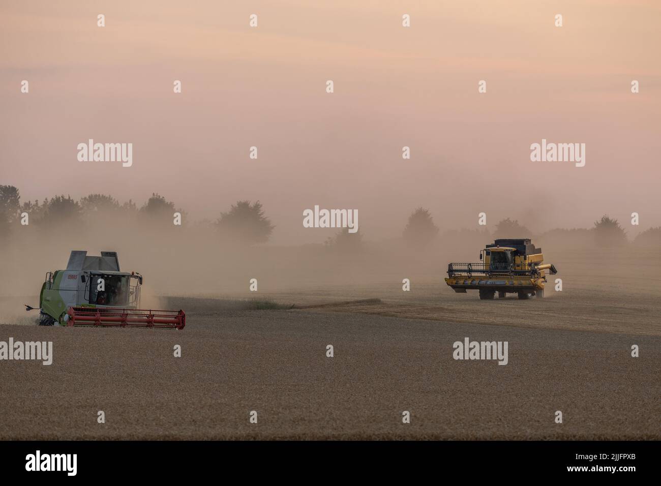 Wheat harvest in progress using combine harvesters. Setting sun ...