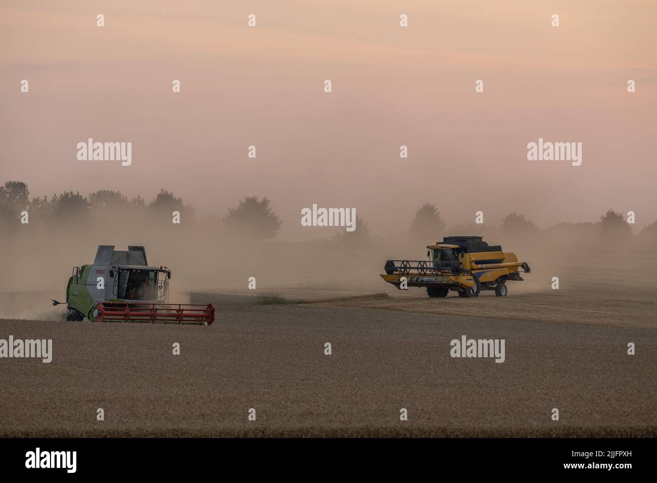 Wheat harvest in progress using combine harvesters. Setting sun ...