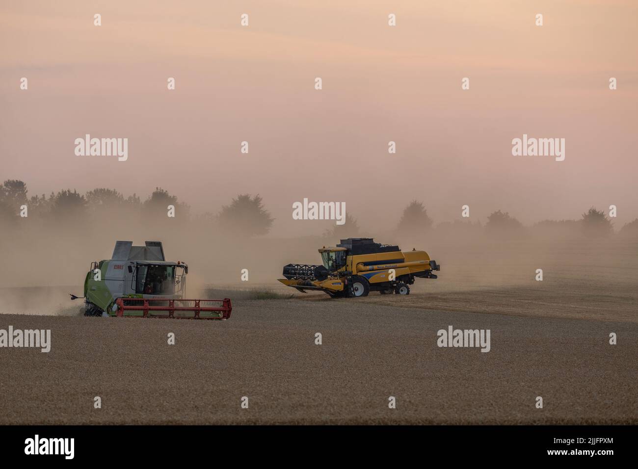 Wheat harvest in progress using combine harvesters. Setting sun ...