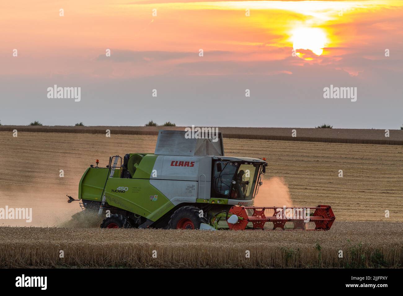 Wheat harvest in progress using combine harvesters. Setting sun ...