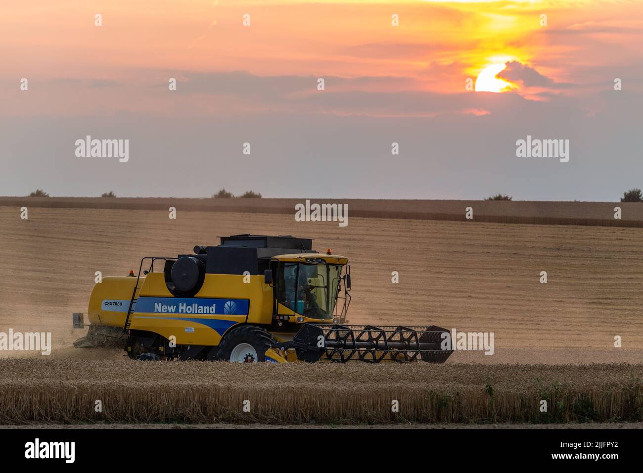 Wheat harvest in progress using combine harvesters. Setting sun ...