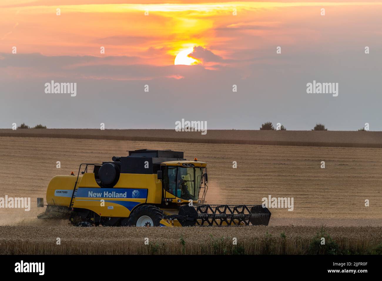 Wheat harvest in progress using combine harvesters. Setting sun ...