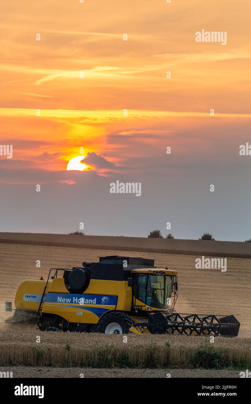 Wheat harvest in progress using combine harvesters. Setting sun ...