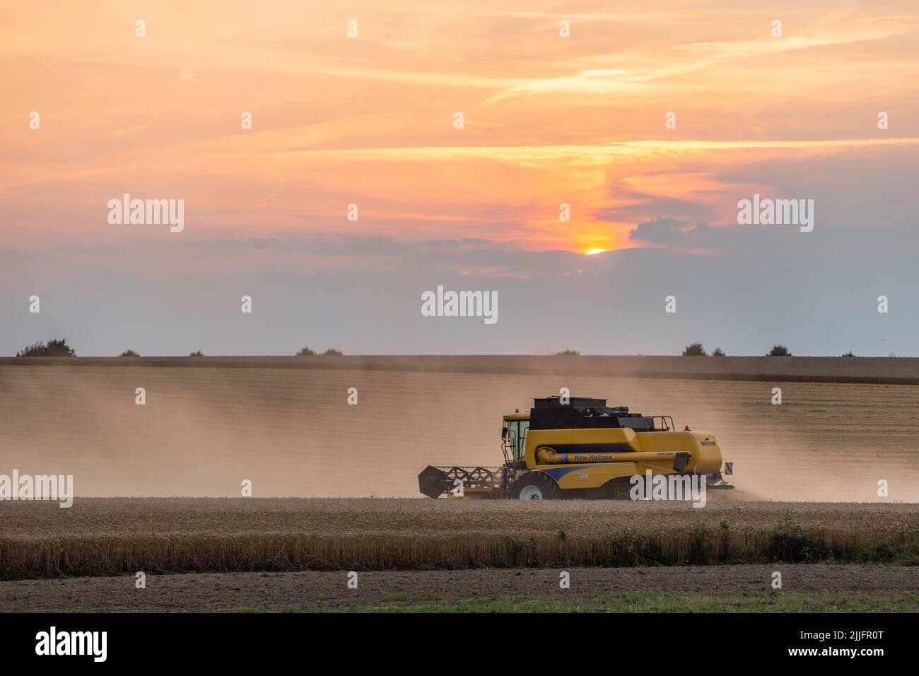 Wheat harvest in progress using combine harvesters. Setting sun ...