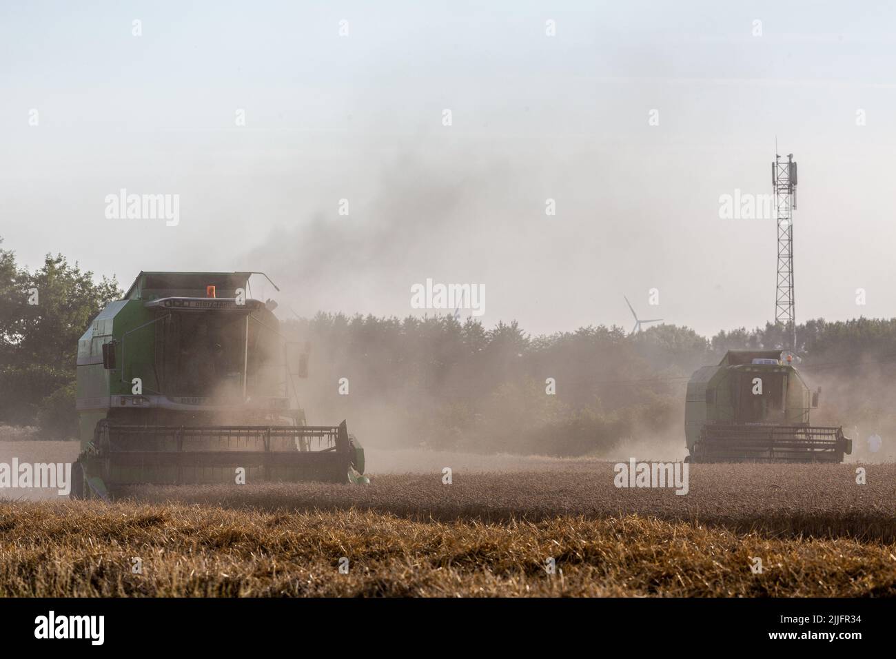 Wheat harvest in progress using combine harvesters. Setting sun ...