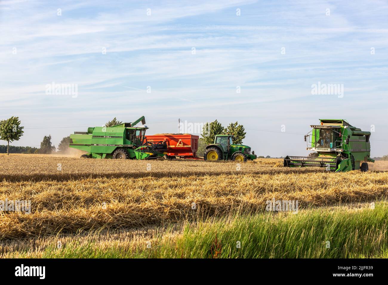 Wheat harvest in progress using combine harvesters. Setting sun ...