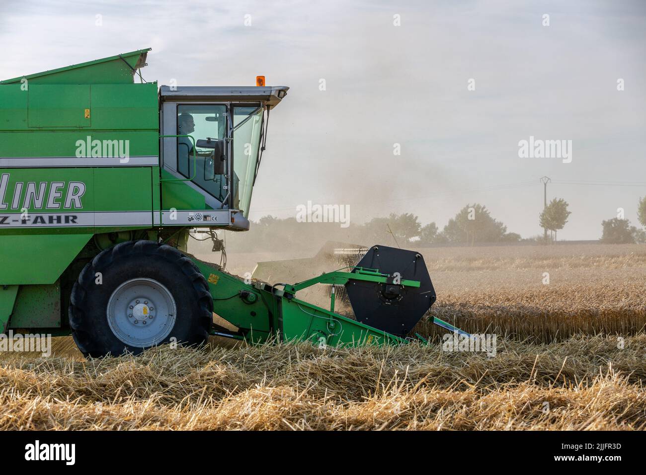 Wheat harvest in progress using combine harvesters. Setting sun ...