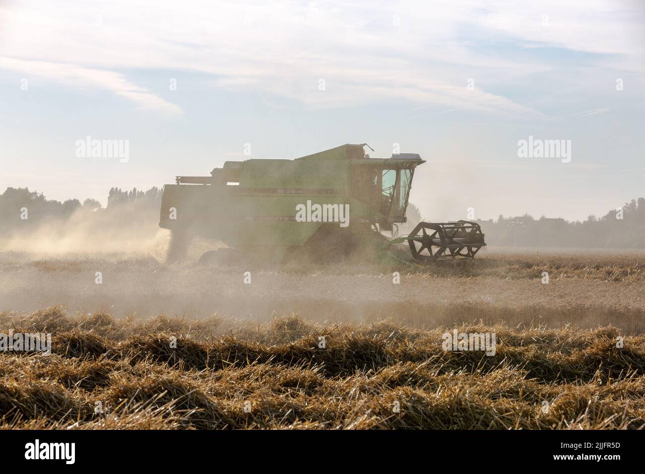 Wheat harvest in progress using combine harvesters. Setting sun ...