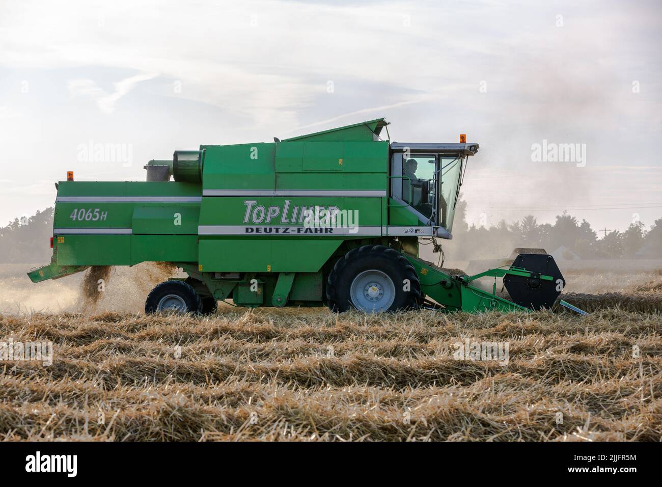 Wheat harvest in progress using combine harvesters. Setting sun illuminating the raised dust ...