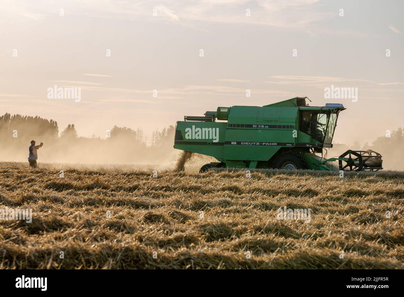 Wheat harvest in progress using combine harvesters. Setting sun ...