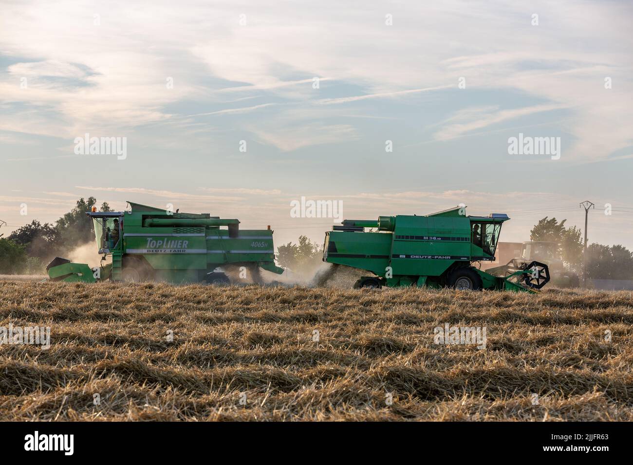 Wheat harvest in progress using combine harvesters. Setting sun ...