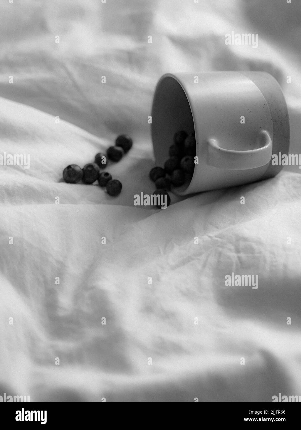 Blueberries vertical Black and White Stock Photos & Images - Alamy