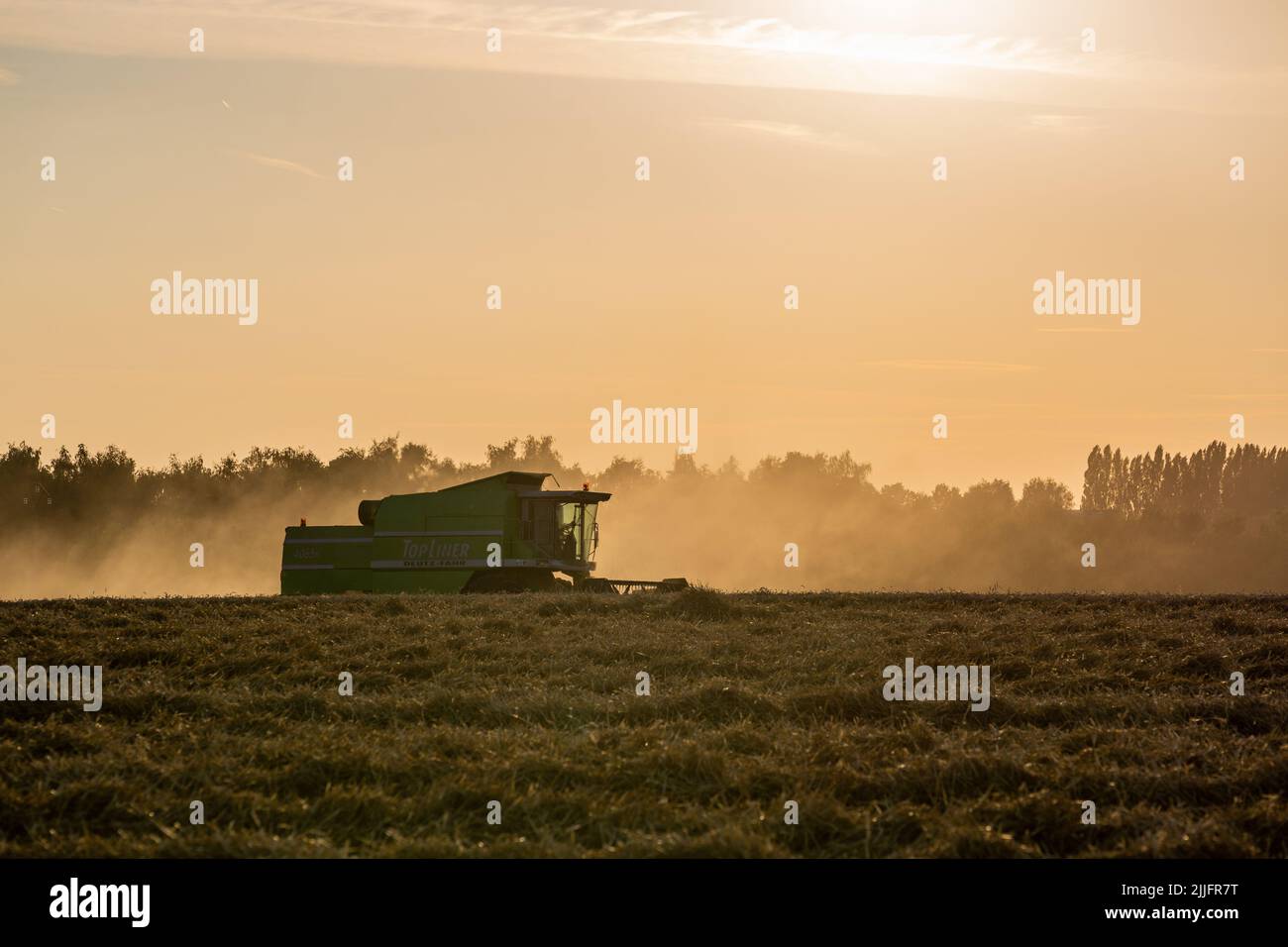 Wheat harvest in progress using combine harvesters. Setting sun ...