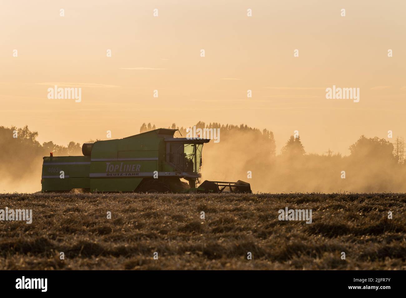 Wheat harvest in progress using combine harvesters. Setting sun illuminating the raised dust ...