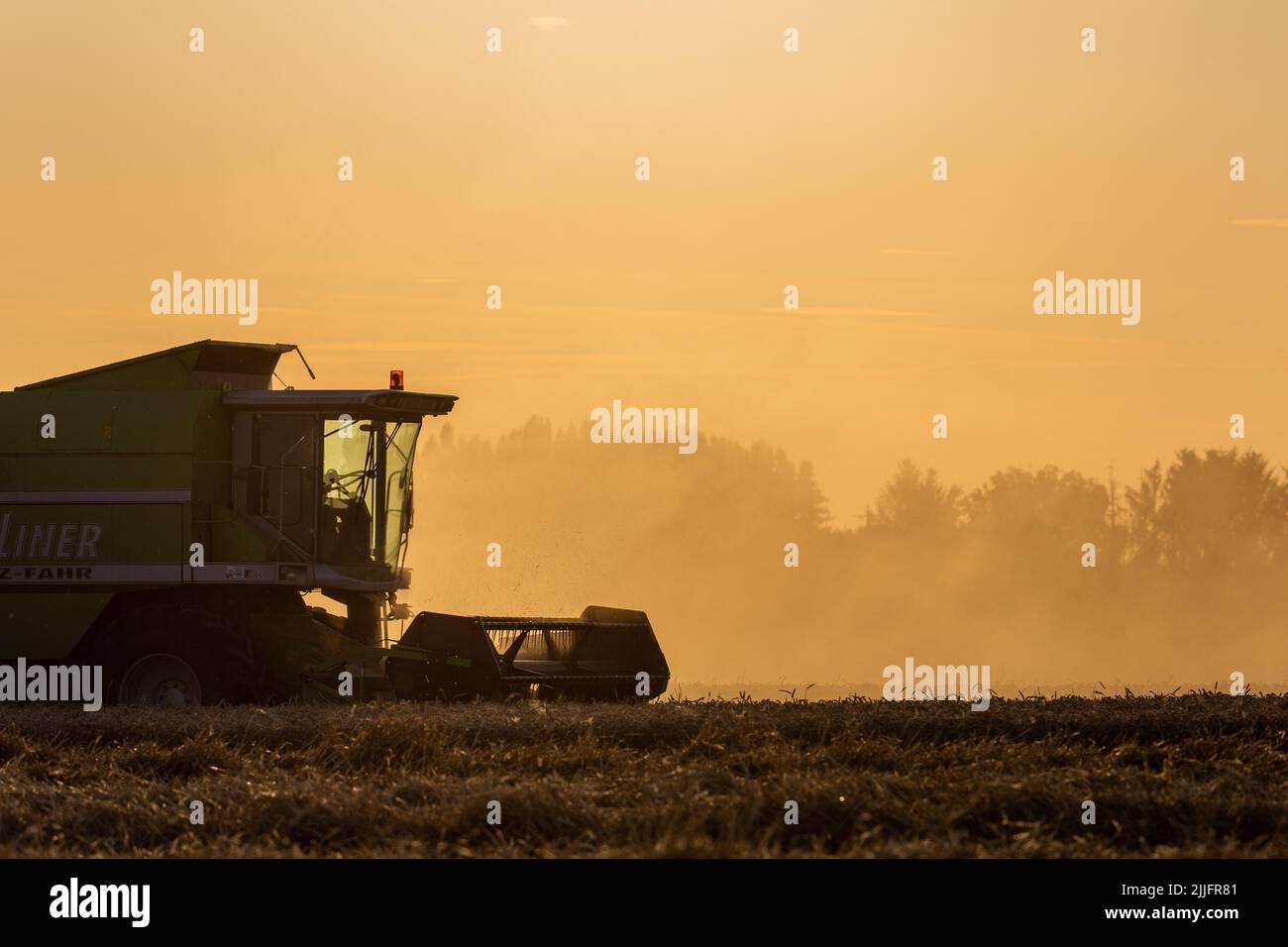 Wheat harvest in progress using combine harvesters. Setting sun ...