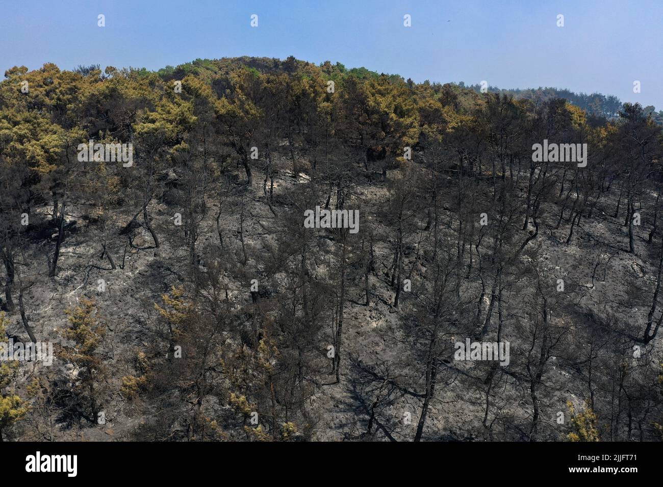 Dadia national park hi-res stock photography and images - Alamy