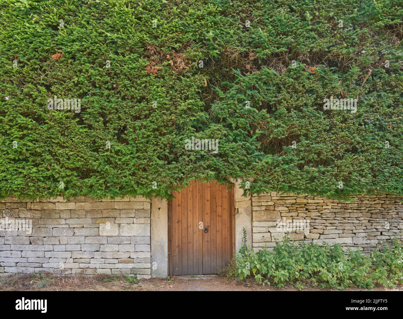 Traditional garden tools and implements Stock Photo - Alamy