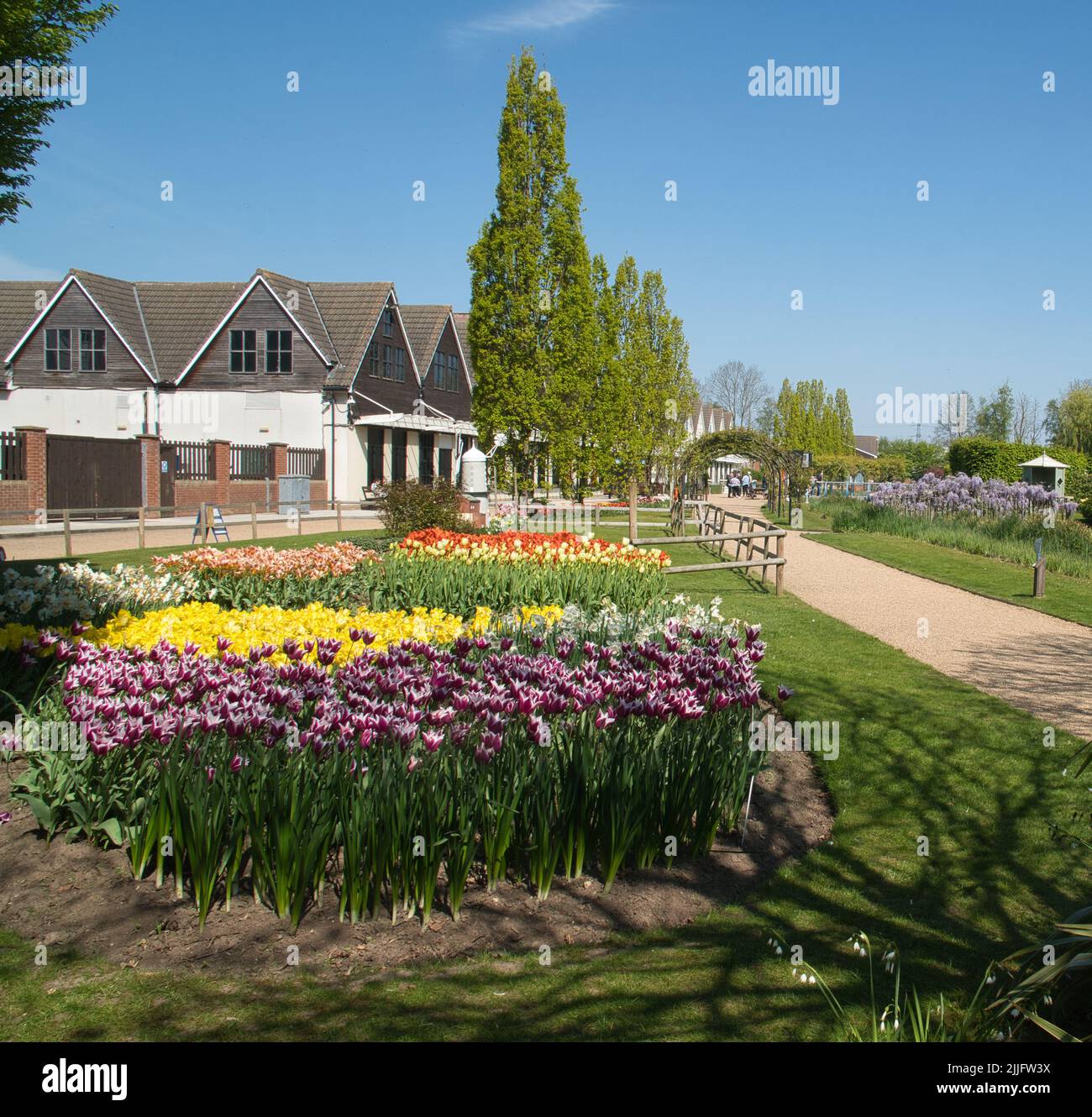 Springfields hi-res stock photography and images - Alamy