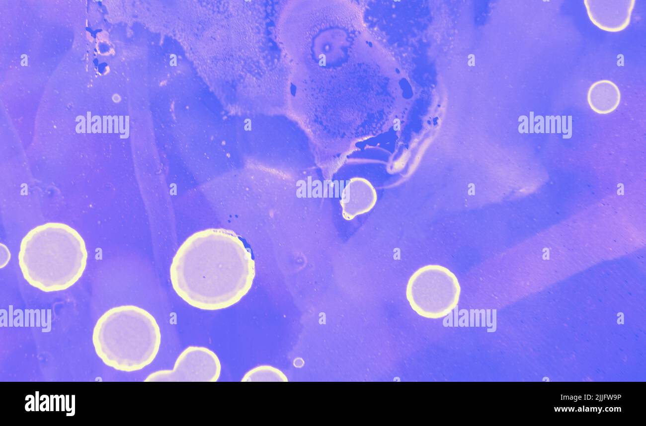 Graphic Flow Background. Pink Watercolor Minimal Poster. Bright Oil ...