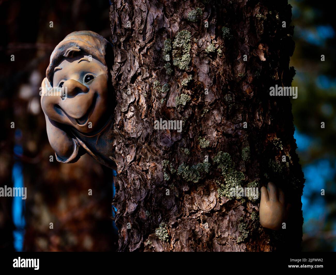 An elf peeking from behind a pine. Vasikka (Calf) island, South ...