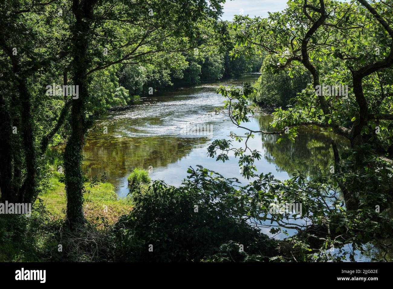 The River Rheidol below the Cwm Rheidol Reservoir near Aberffrwd ...