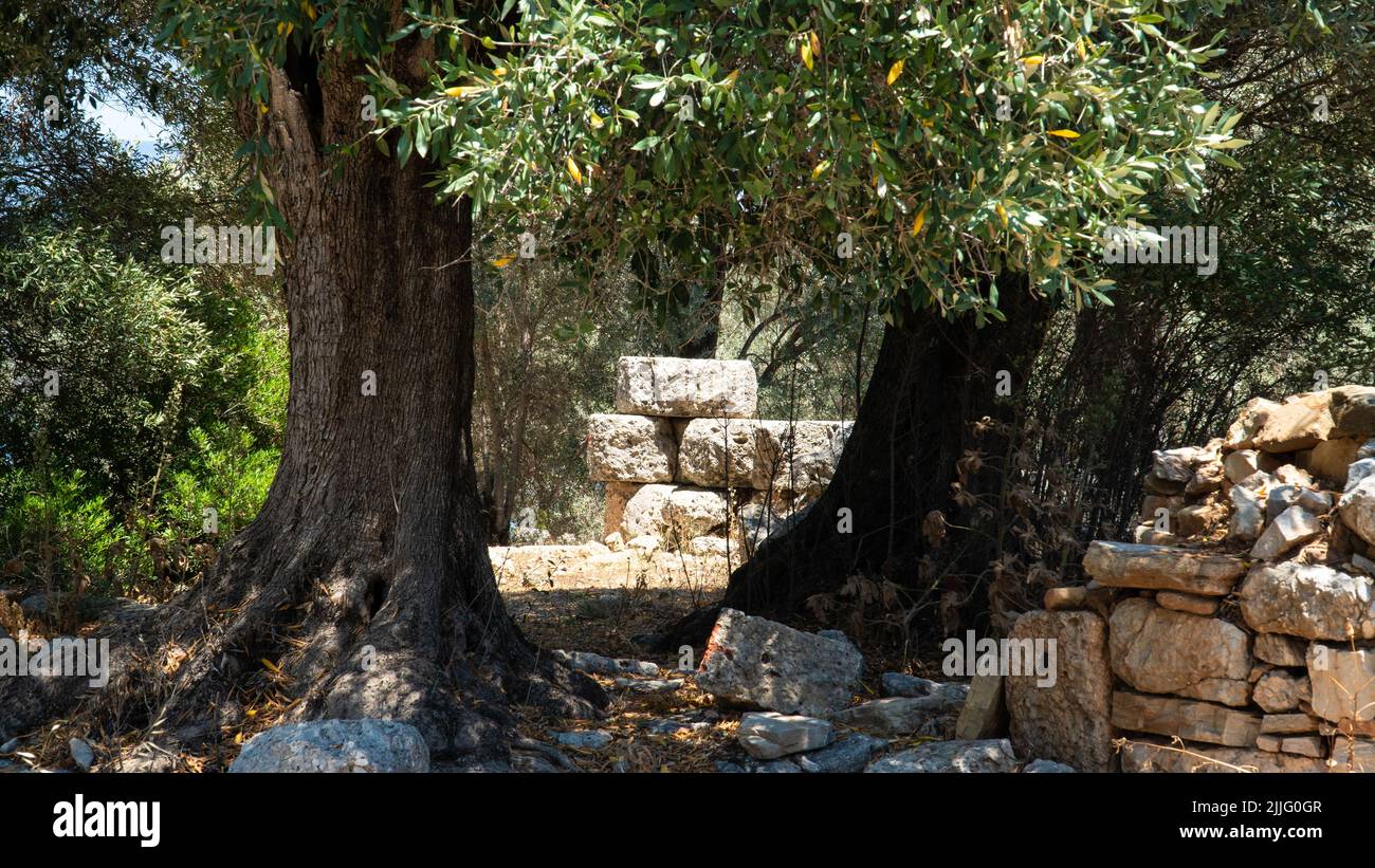 Ancient city of Kedrai in Sedir island, Turkey. Ancient ruins in Sedir ...