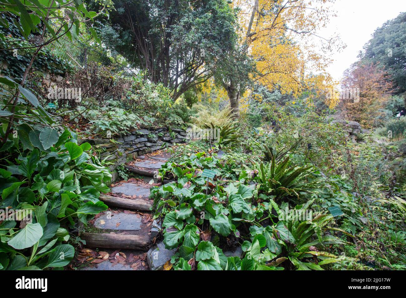 Garden path and nature in Garden of Plants in Paris and Eutrema ...