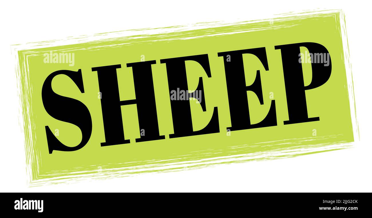SHEEP text written on green-black rectangle stamp sign Stock Photo - Alamy