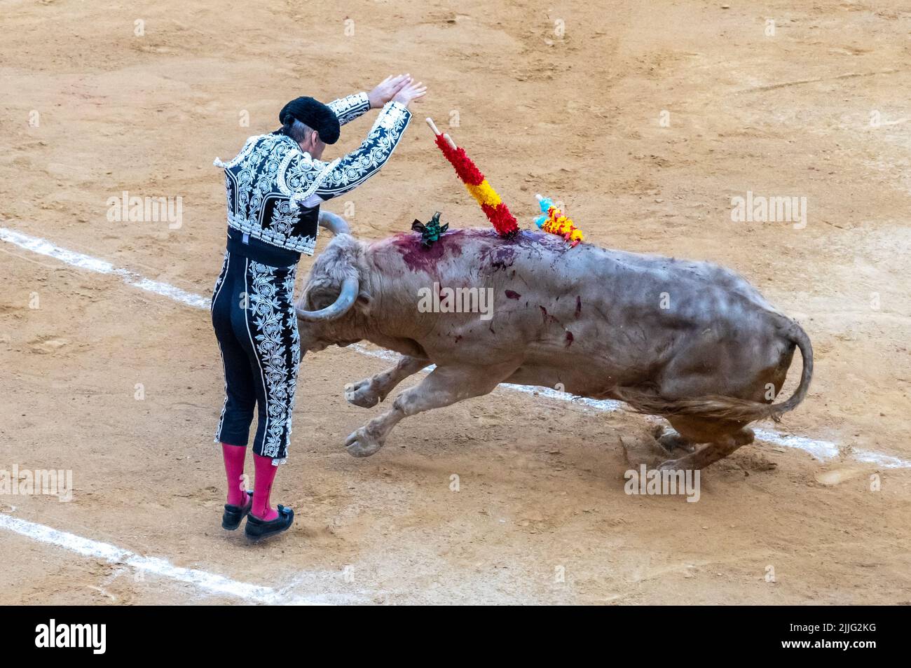 Valencia, Spain - July 16, 2022: Bullfight during the Summer festival ...