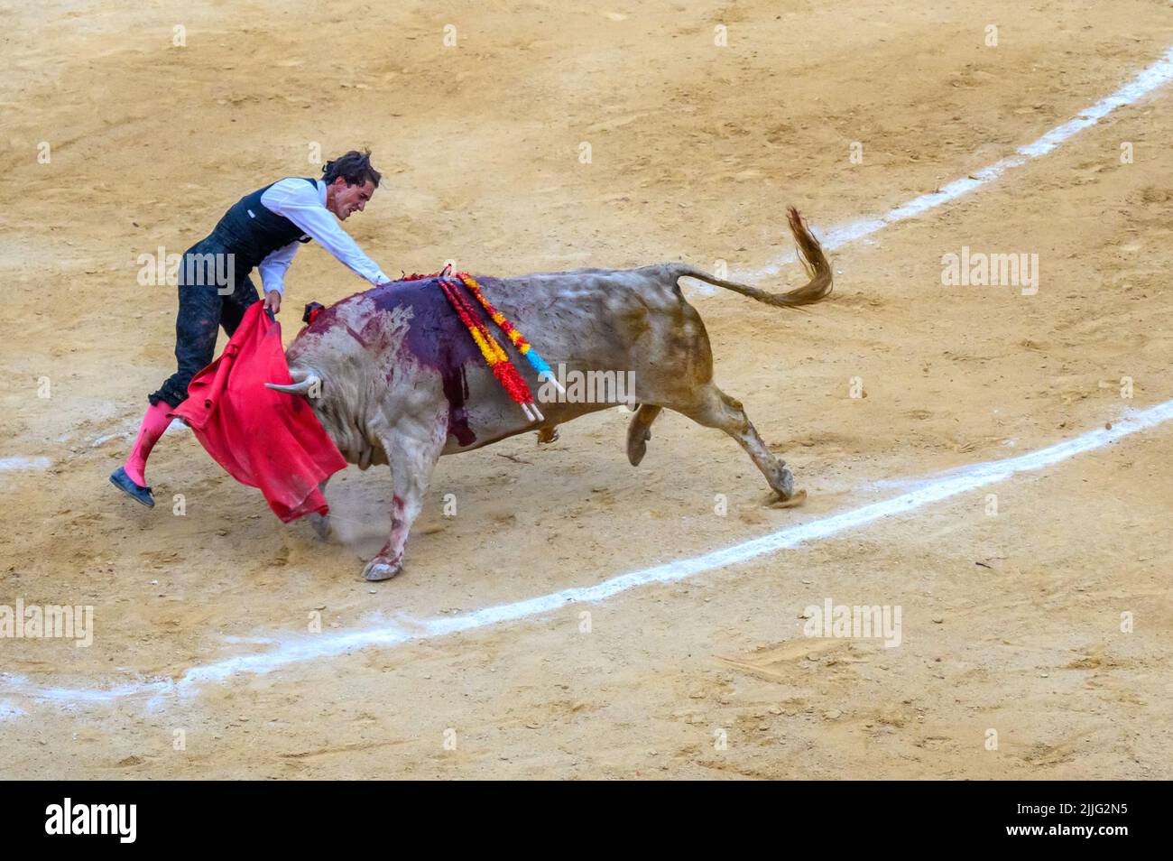 Valencia, Spain - July 16, 2022: Jesus Duque, bullfighter. Bullfight ...