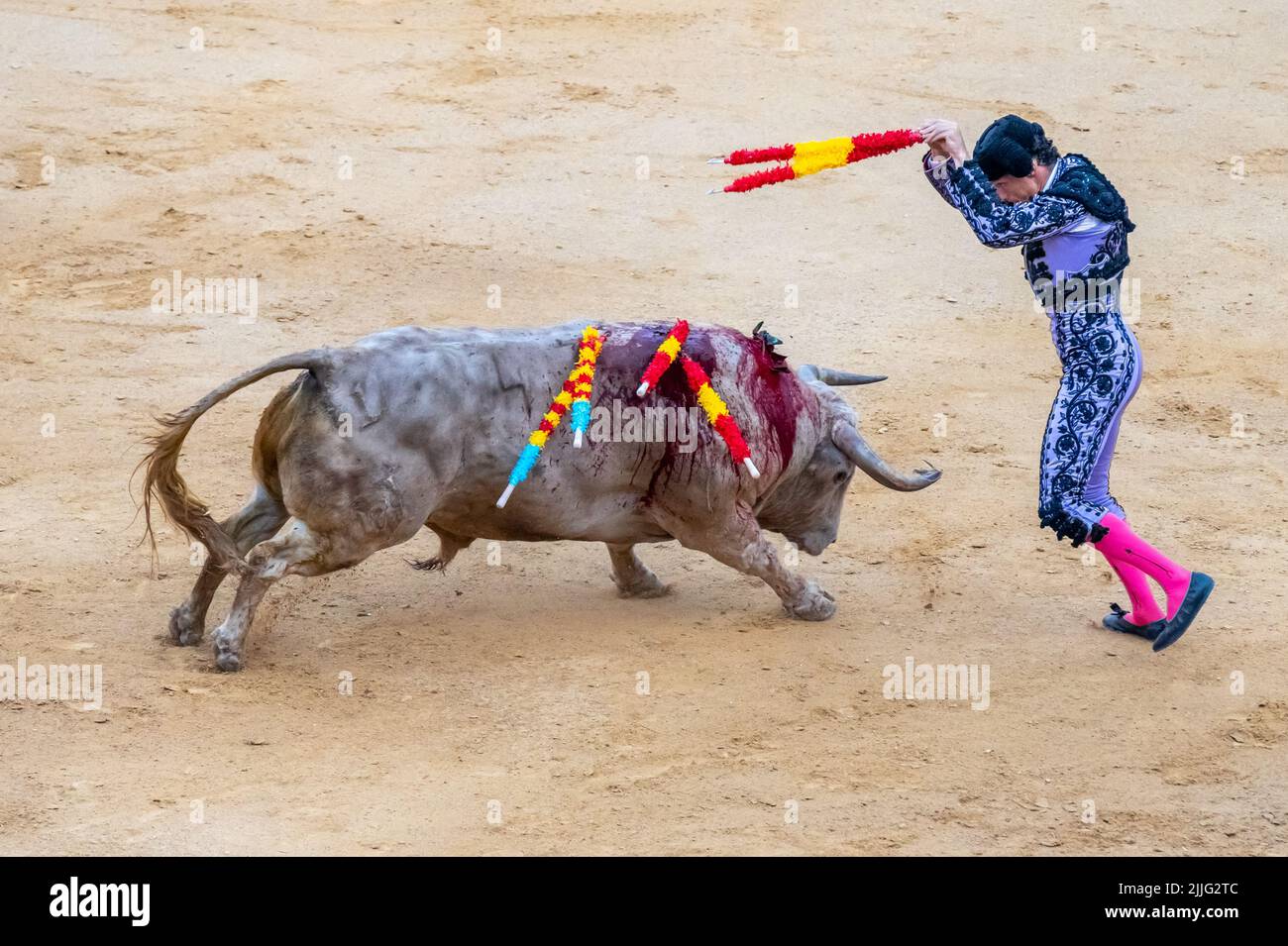 Valencia, Spain - July 16, 2022: Bullfight during the Summer festival ...