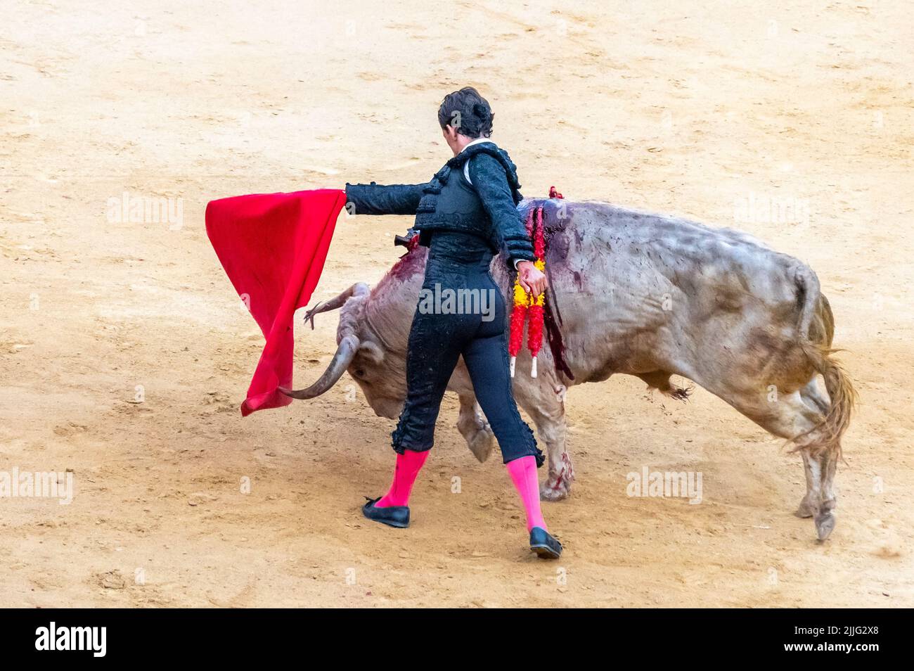 Valencia, Spain - July 16, 2022: Jesus Duque, bullfighter. Bullfight ...