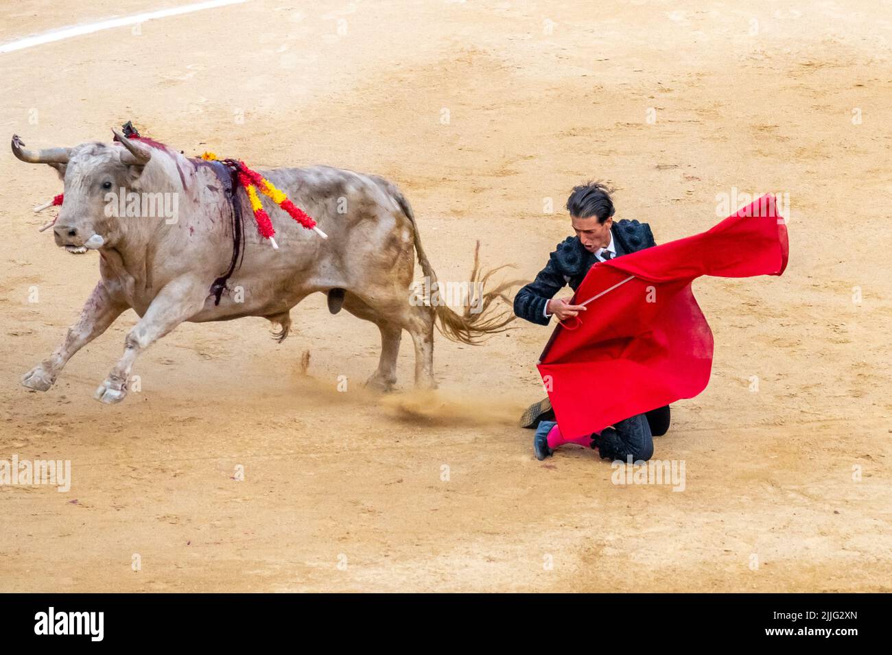 Valencia, Spain - July 16, 2022: Jesus Duque, bullfighter. Bullfight ...