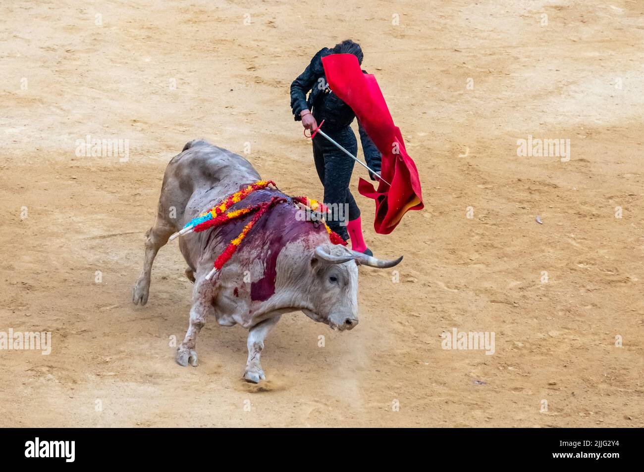 Valencia, Spain - July 16, 2022: Jesus Duque, bullfighter. Bullfight ...