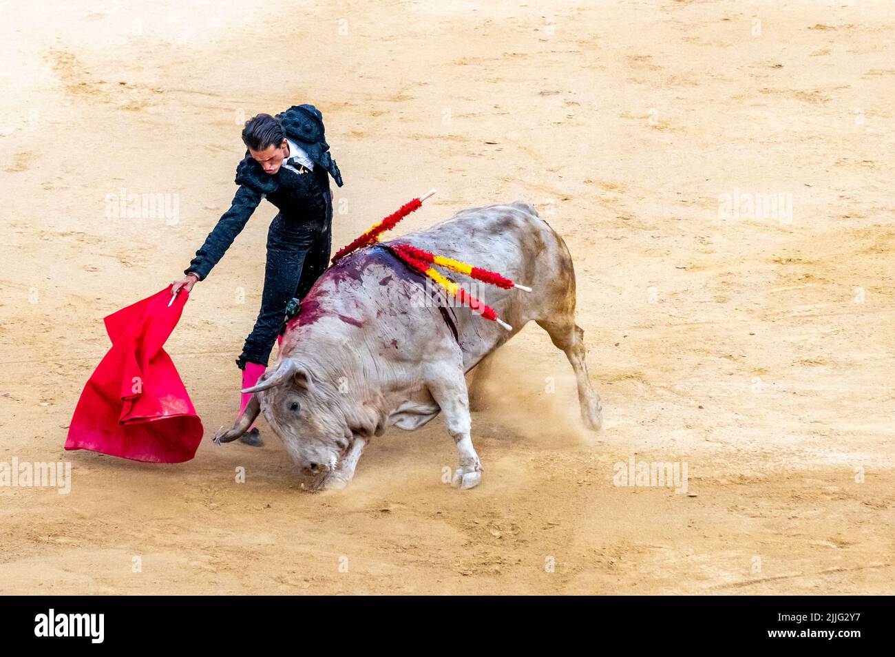 Valencia, Spain - July 16, 2022: Jesus Duque, bullfighter. Bullfight ...