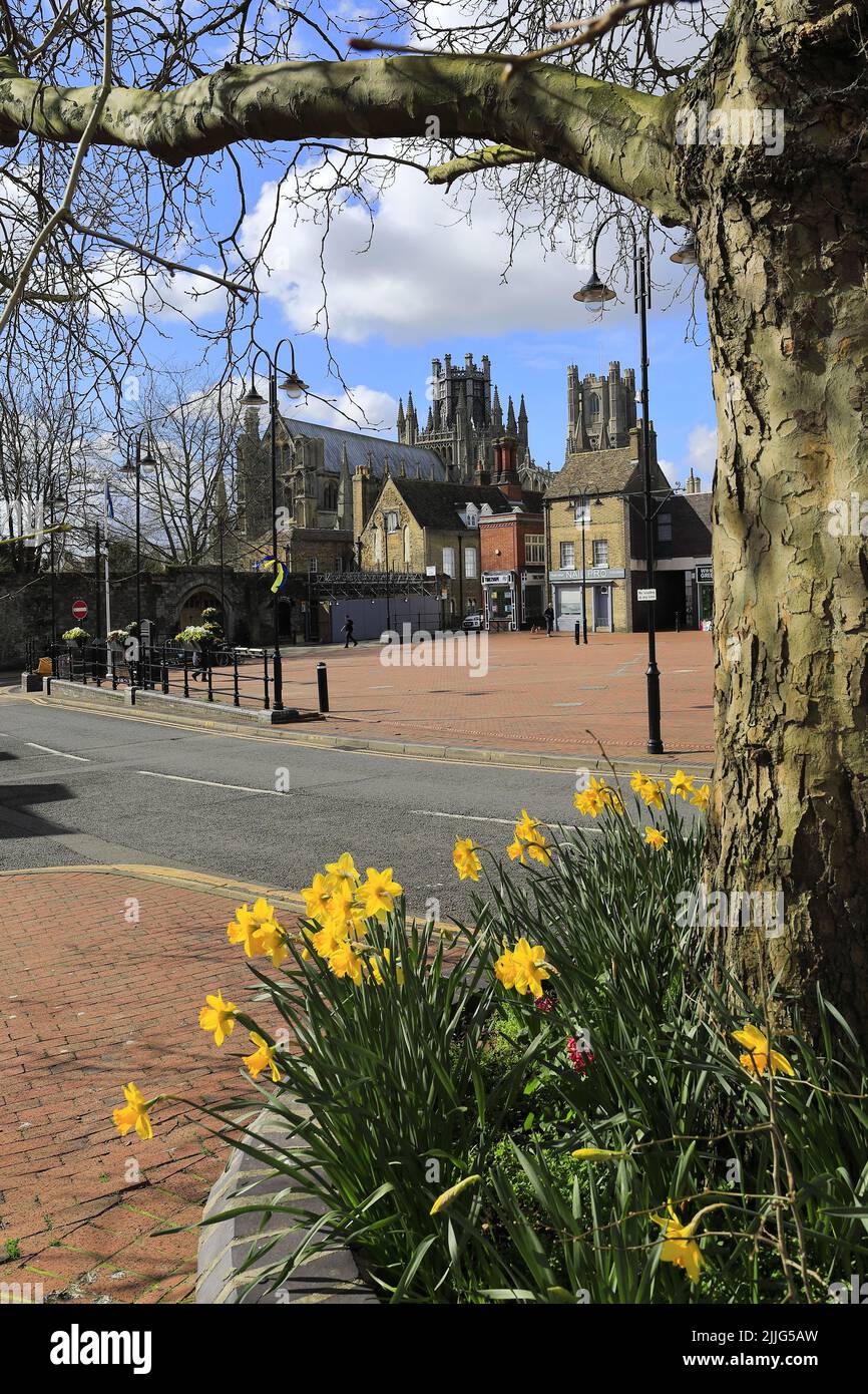 Spring view over Ely City centre; Cambridgeshire; England; UK Stock ...