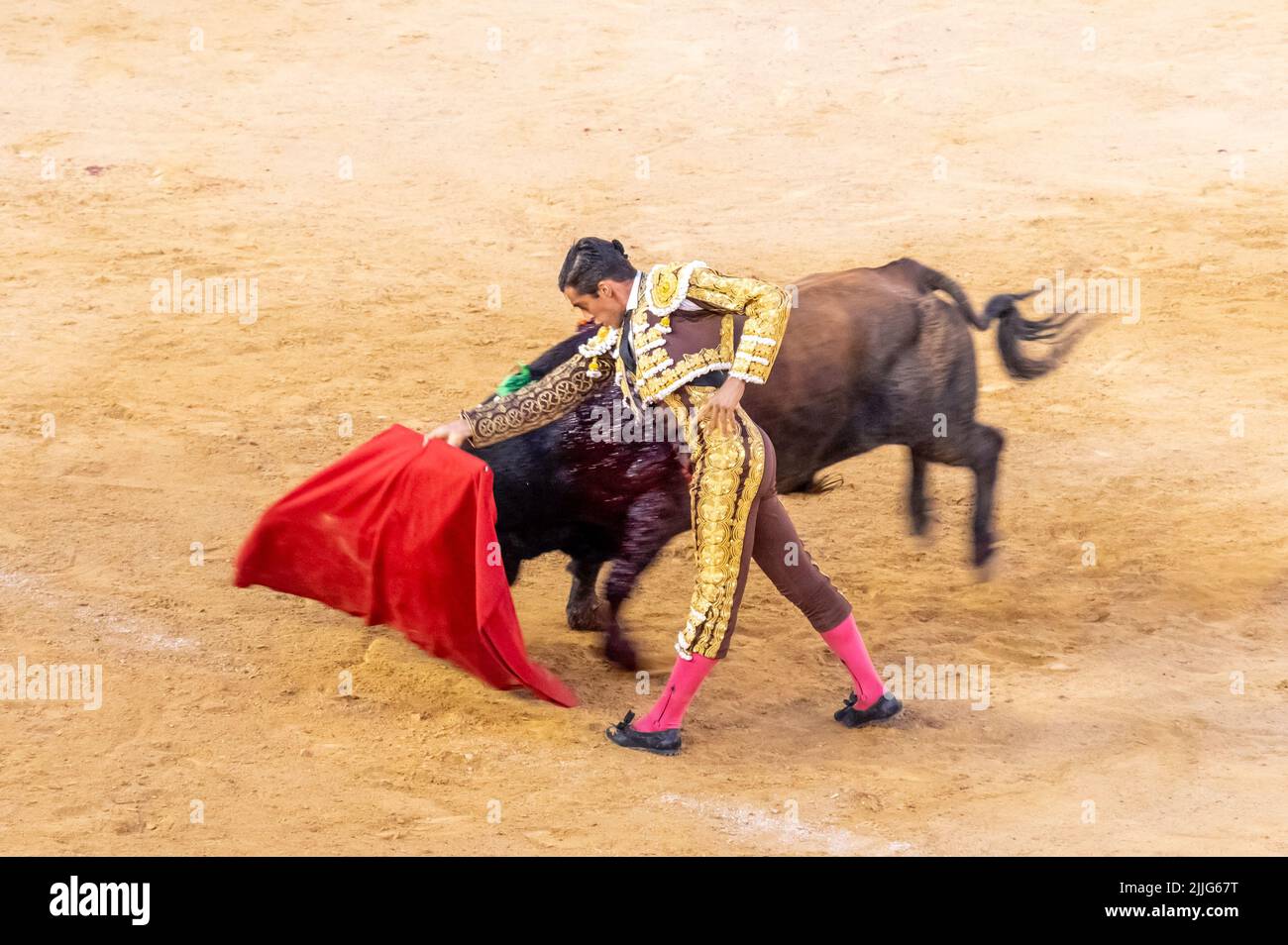 Valencia, Spain - July 16, 2022: Bullfight during the Summer festival ...