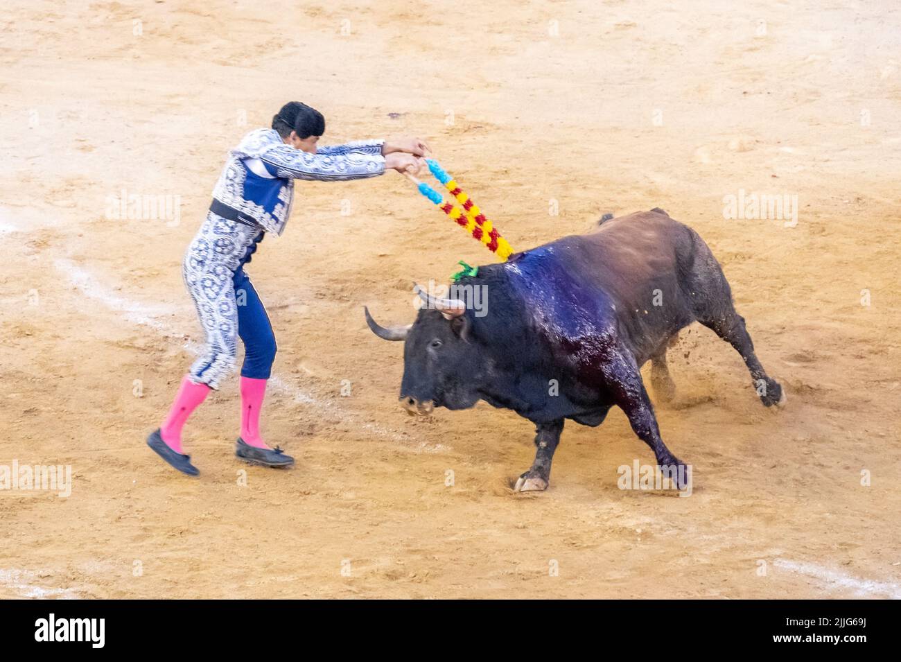Valencia, Spain - July 16, 2022: Bullfight during the Summer festival ...