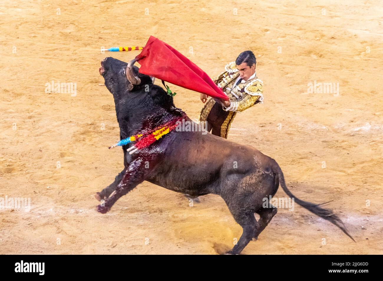 Valencia, Spain - July 16, 2022: Bullfight during the Summer festival ...