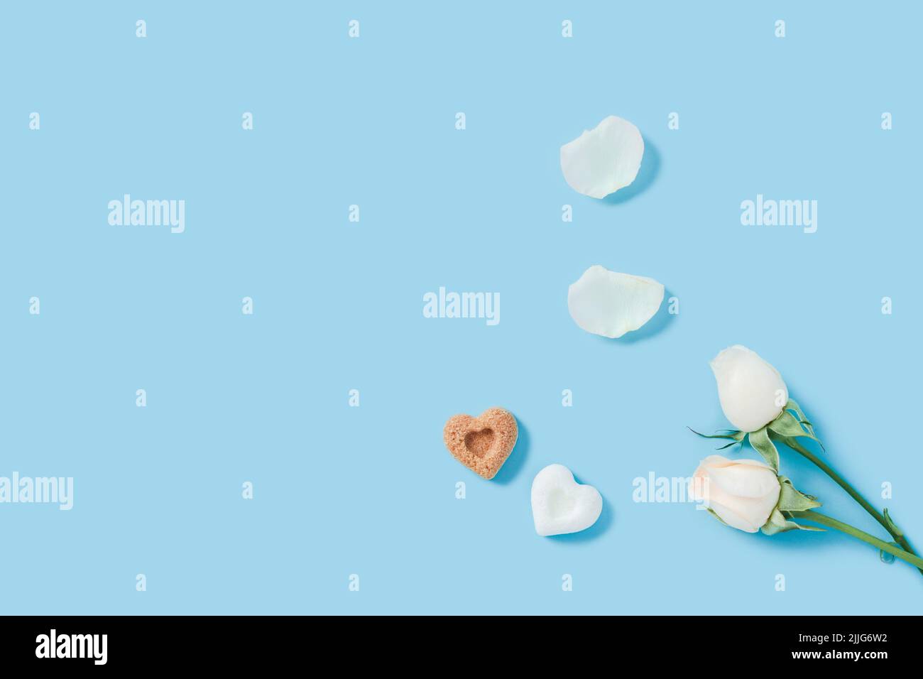 Romantic photo with roses and petals and two pieces of sugar in the ...