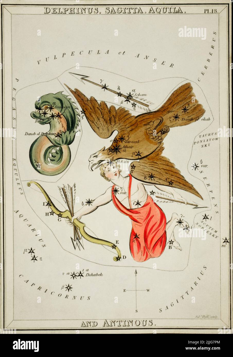 Delphinus constellation hi-res stock photography and images - Alamy