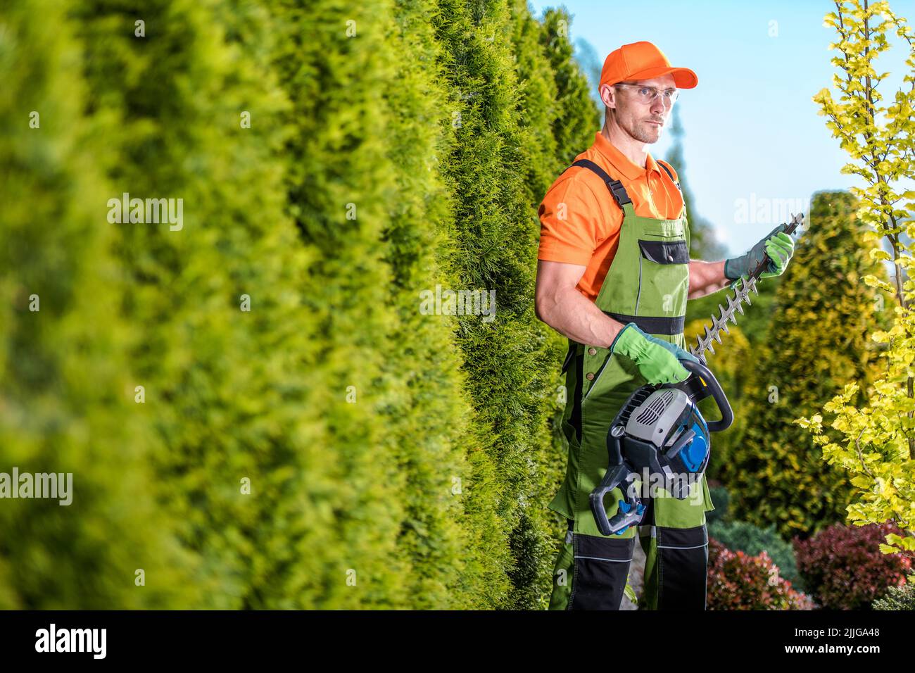 Shrub wall hi-res stock photography and images - Alamy