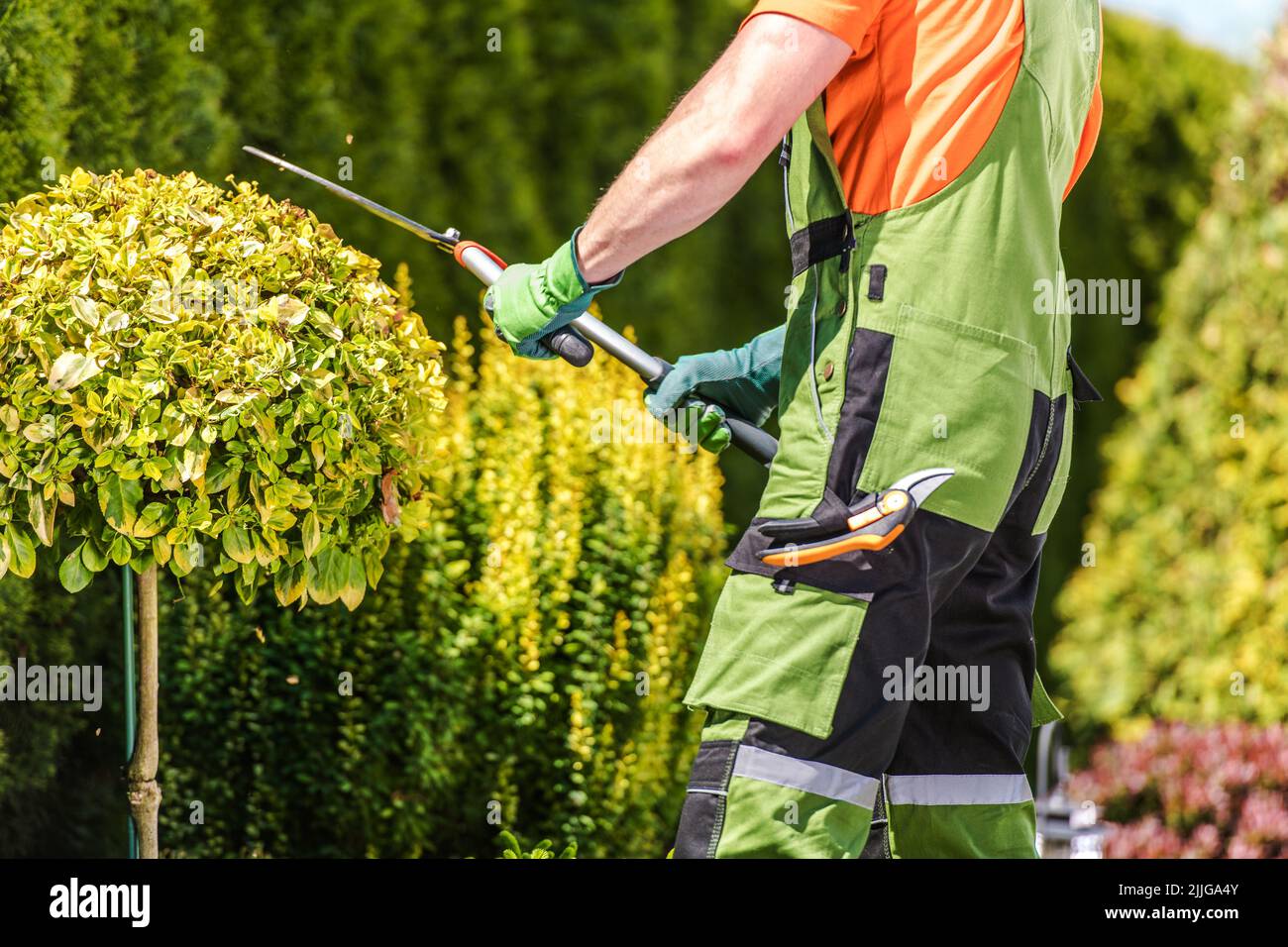 Side View Closeup Photo of Caucasian Male Gardener Shaping the ...