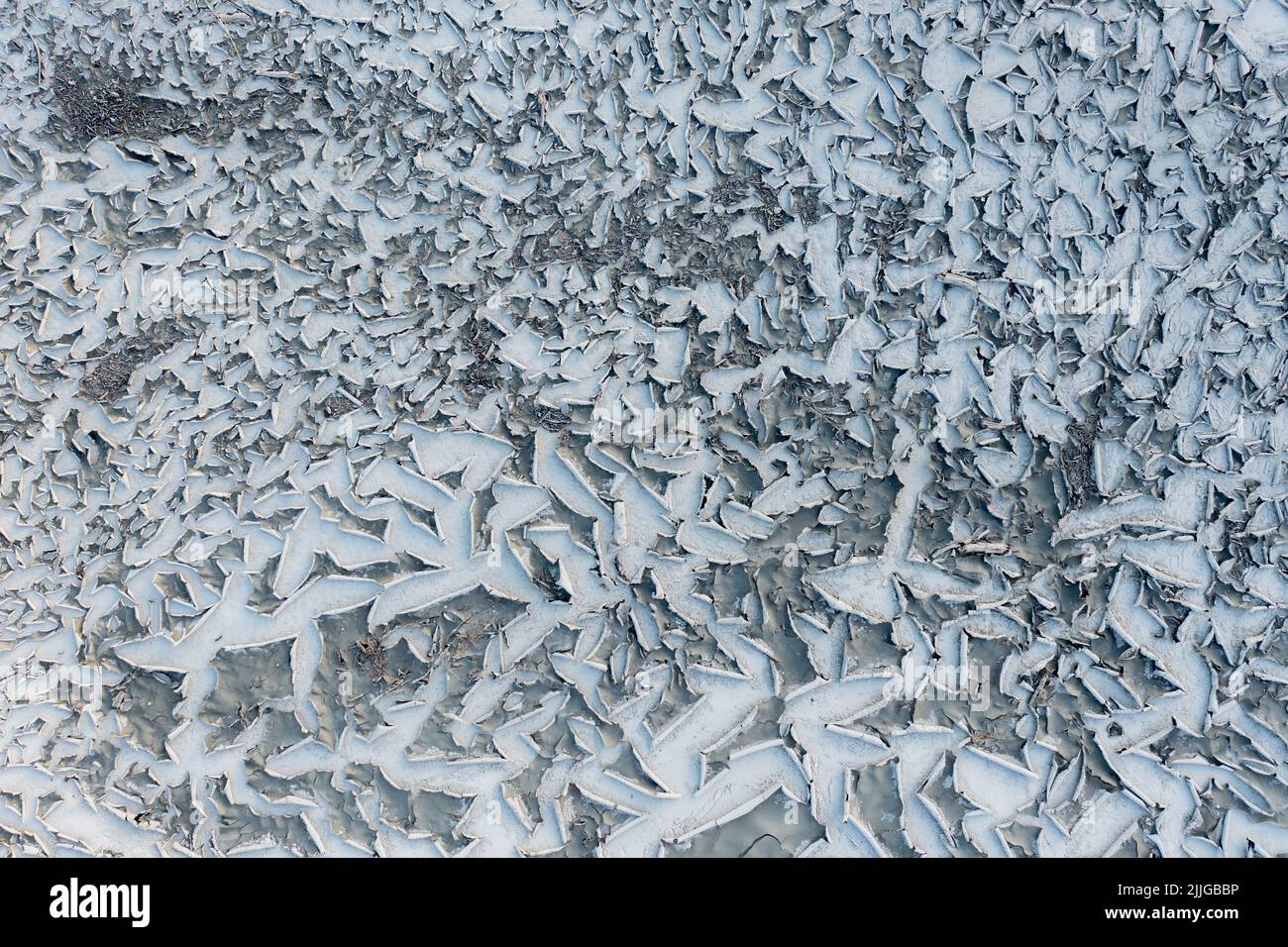 Silt cracks on the sandy bottom of the lake - beautiful clear texture ...