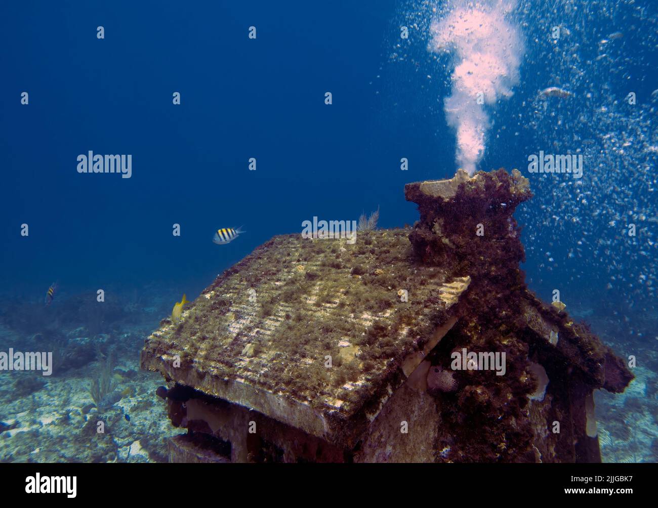 MUSA - The Museum of Underwater Art in Isla Mujeres near Cancun in ...