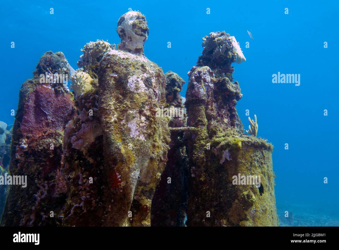 MUSA - The Museum of Underwater Art in Isla Mujeres near Cancun in ...